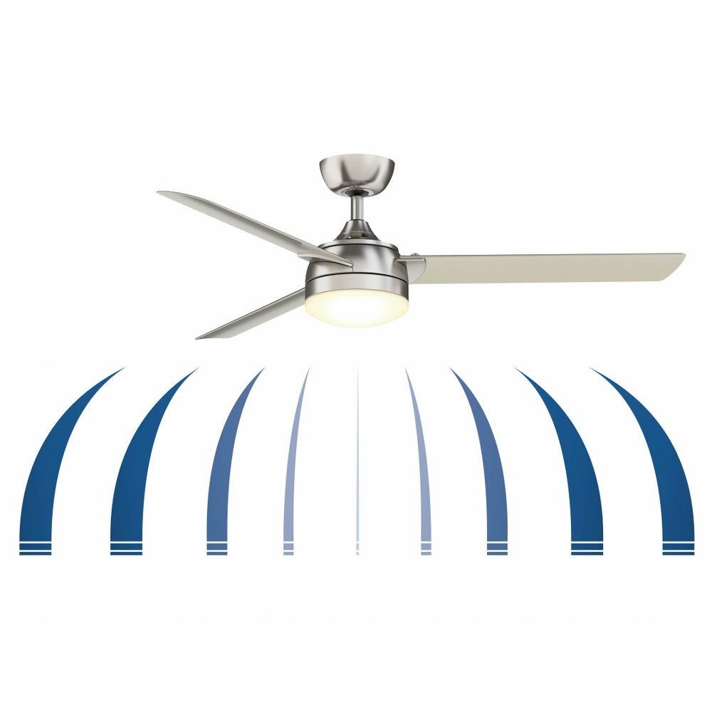 Fanimation Fans - FP6728BBN - Xeno - 3 Blade Ceiling Fan-14.33 Inches ...