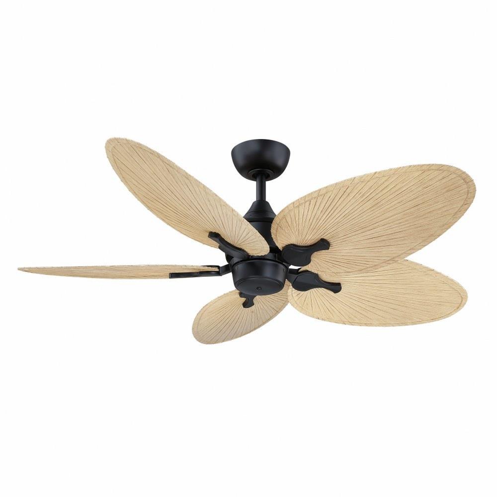 Fanimation Fans - FPD3250-52NO - Islander DC - 5 Narrow Oval Blade ...