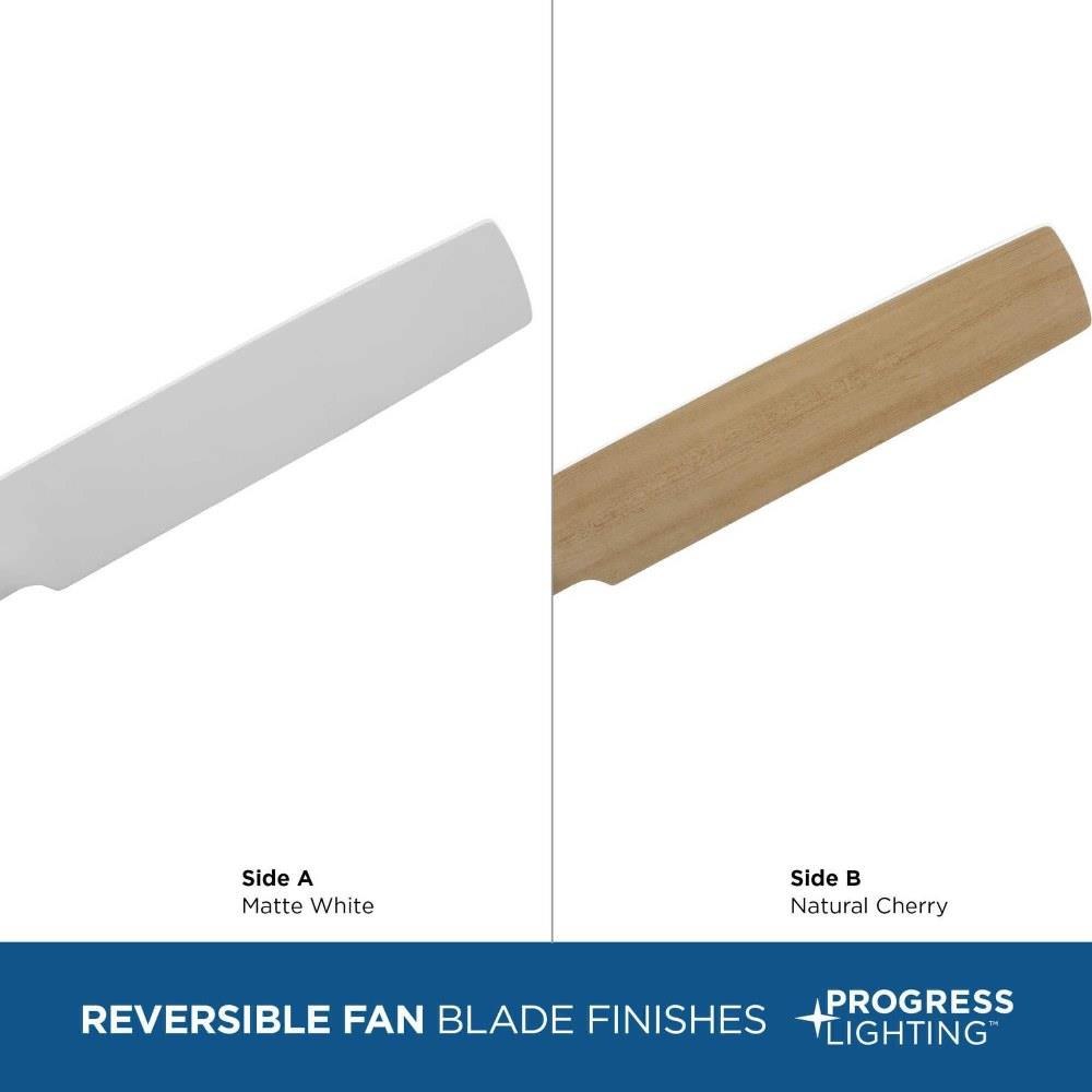 Progress Lighting - P250097 - Shaffer II - 4 Blade Ceiling Fan with ...